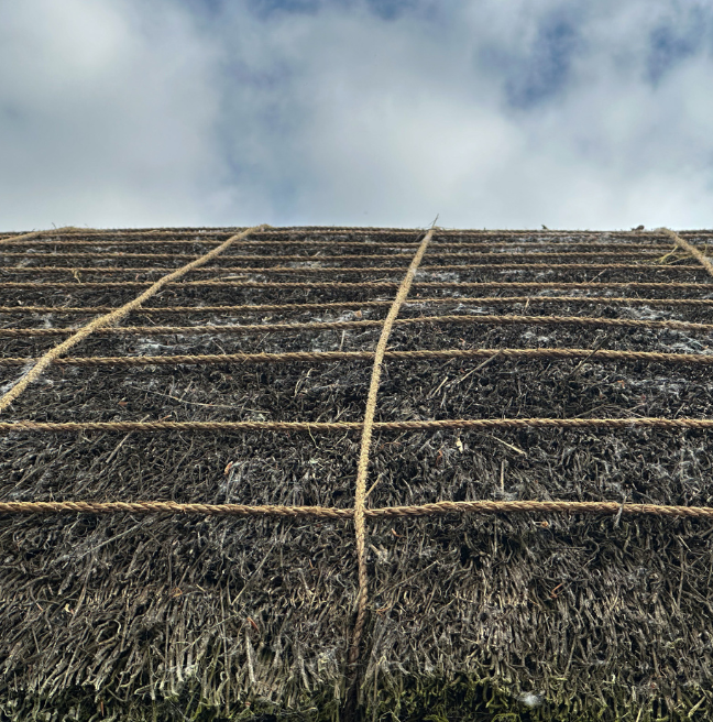 Thatching | Ulster Folk Museum